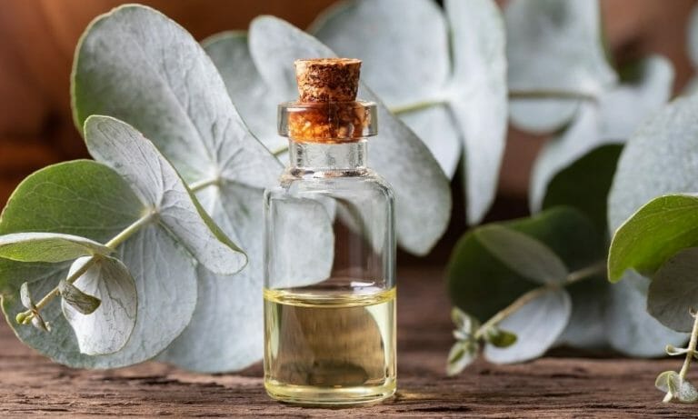 7 Essential Oils For Fibromyalgia That Actually Make A Difference