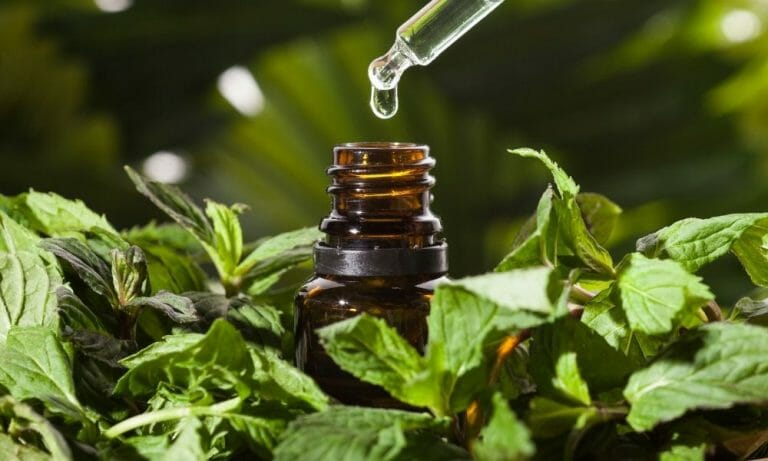 7 Essential Oils For Fibromyalgia That Actually Make A Difference