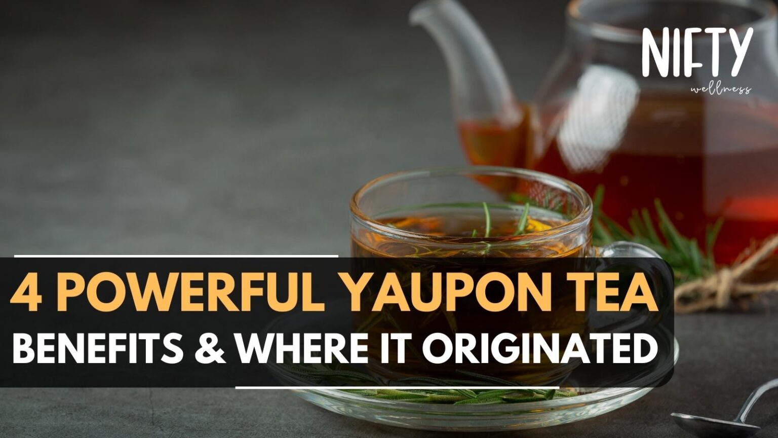 4 Yaupon Tea Benefits: Boost Your Health - Nifty Wellness