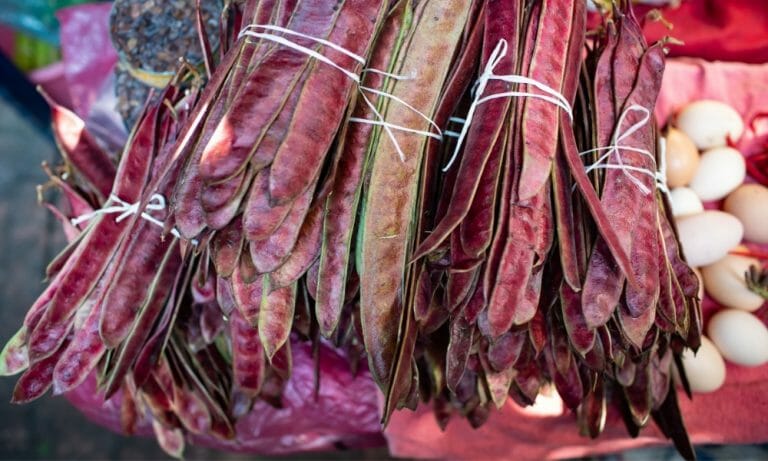 6 Powerful Guajes Benefits & Nutrition Facts - Nifty Wellness