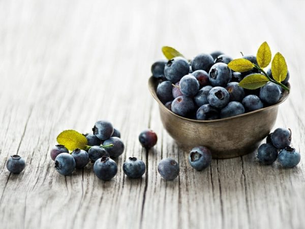 8 Blueberry Tea Benefits That Will Make You Get Some