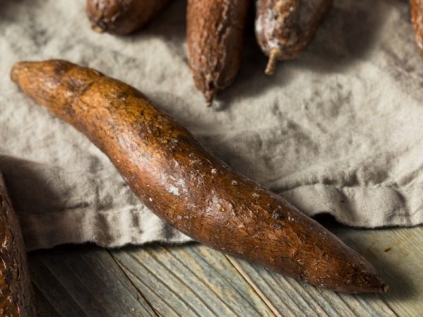 3 Awesome Yucca Root Benefits For Hair - Nifty Wellness