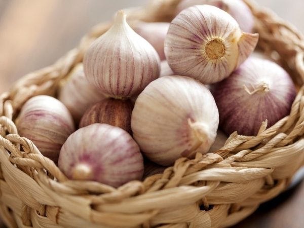Surprising 6 Kinds Of Garlic Health Benefits - Nifty Wellness