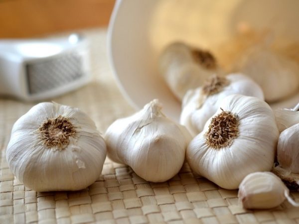 Surprising 6 Kinds Of Garlic Health Benefits - Nifty Wellness