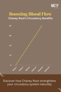 5 Powerful Chaney Root Benefits & What It Is - Nifty Wellness