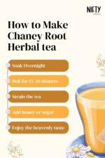 5 Powerful Chaney Root Benefits & What It Is - Nifty Wellness