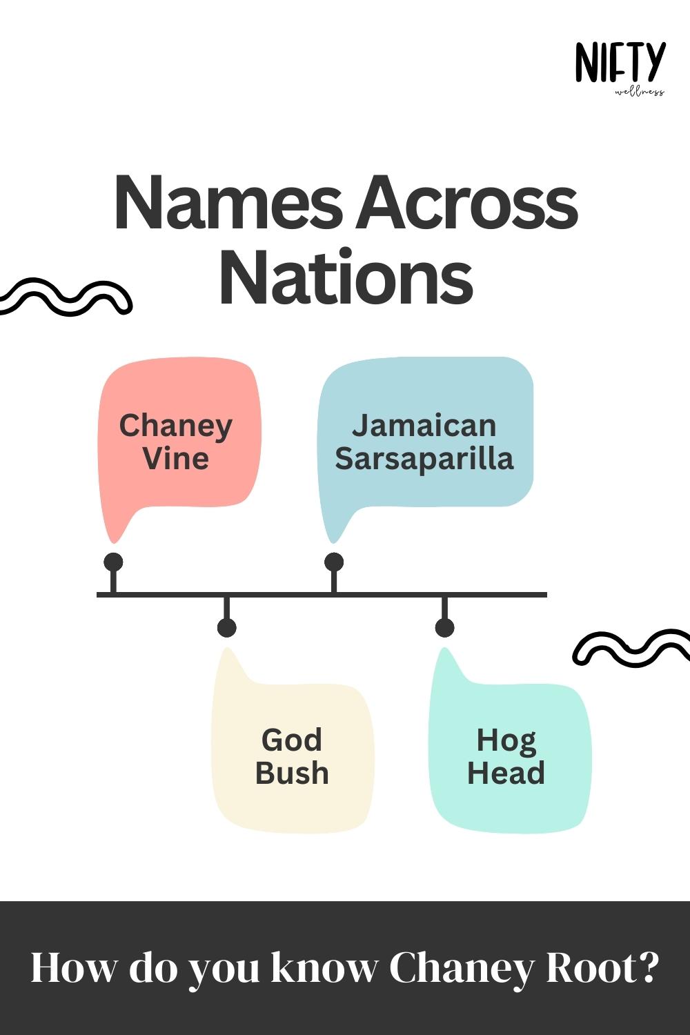 5 Powerful Chaney Root Benefits & What It Is - Nifty Wellness