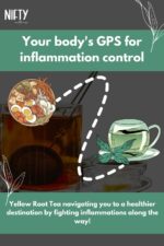 Discover 6 Amazing Yellow Root Tea Benefits - Nifty Wellness