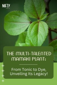 5 Mamaki Tea Benefits, History & More - Nifty Wellness