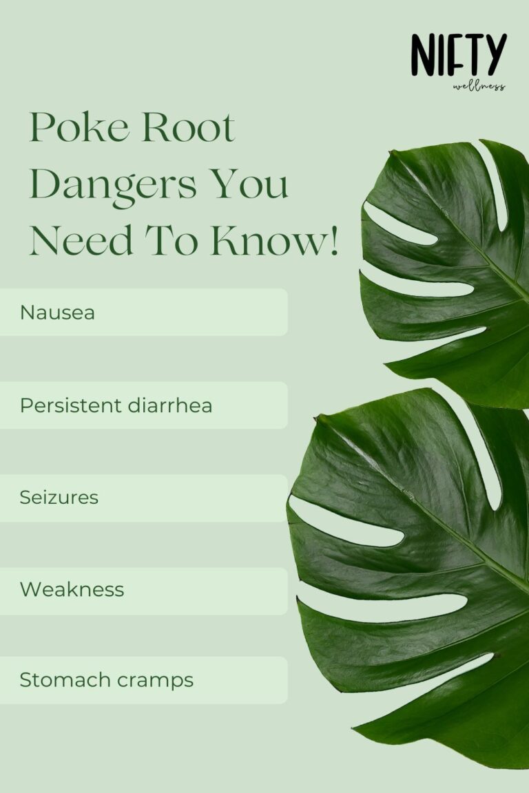 4 Poke Root Benefits, Uses & Side Effects - Nifty Wellness