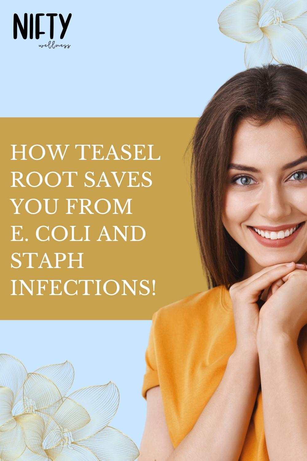 Teasel Root Benefits: The Elixir You Need - Nifty Wellness