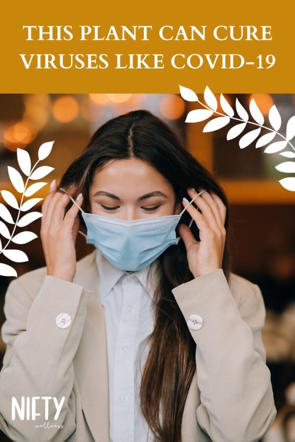 4 Poke Root Benefits, Uses & Side Effects - Nifty Wellness