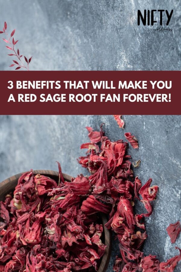3 Red Sage Root Benefits & Side Effects - Nifty Wellness
