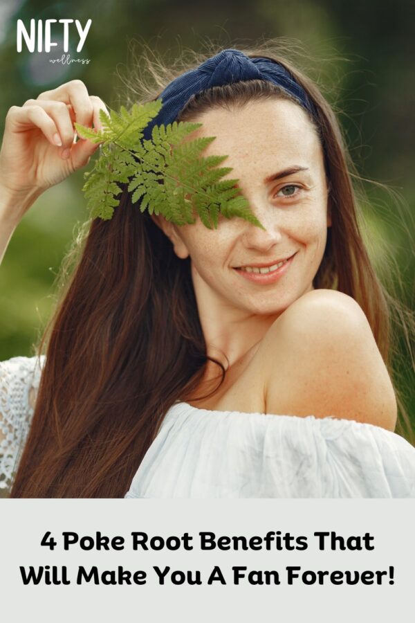 4 Poke Root Benefits, Uses & Side Effects - Nifty Wellness