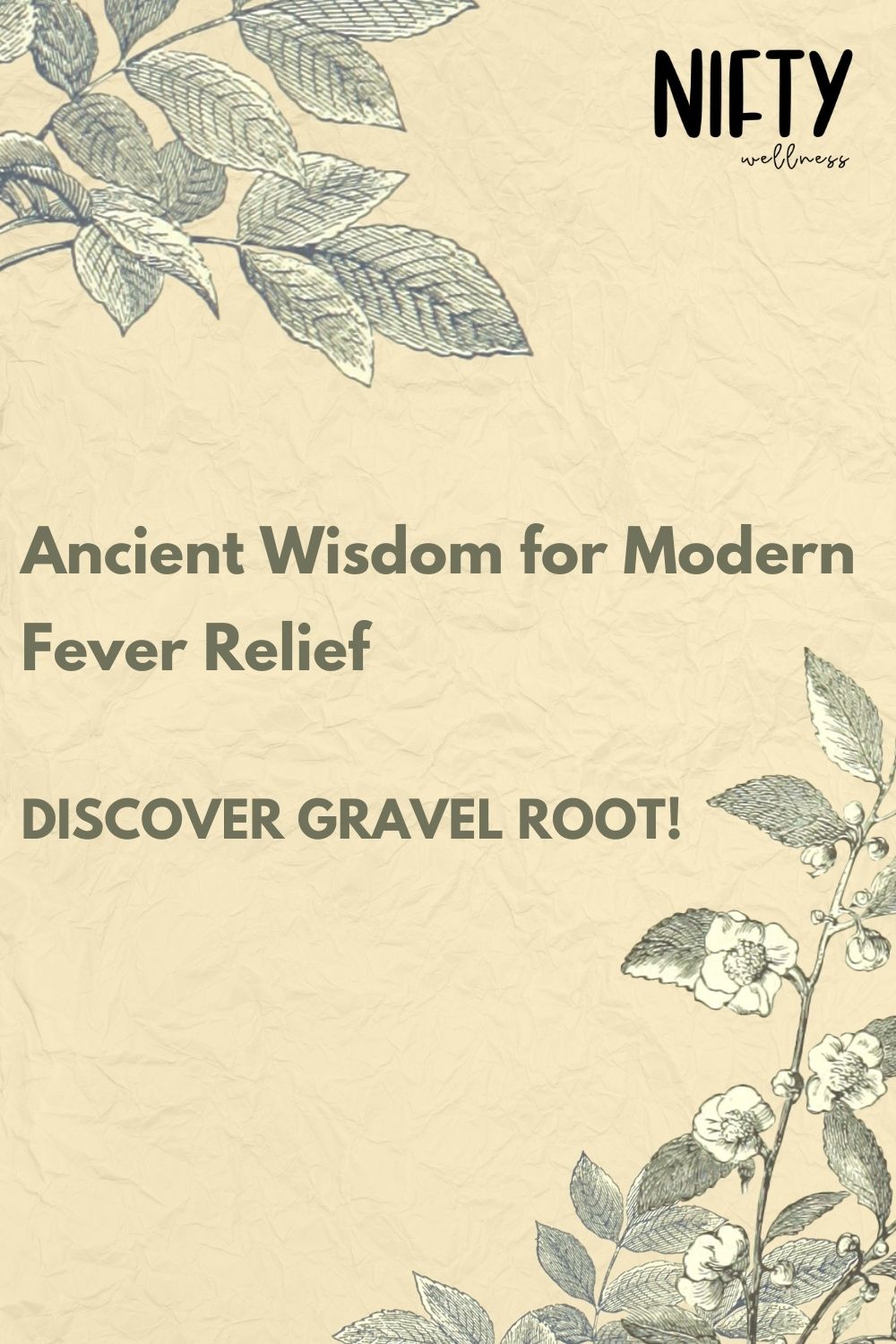4 Gravel Root Benefits You Didn't Know - Nifty Wellness